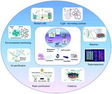 Hierarchical nanomaterials via biomolecular self-assembly and ...