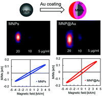 Dynamic magnetic characterization and magnetic particle imaging ...