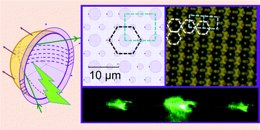 Optical response of magnetically actuated biocompatible membranes ...
