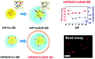 Synthesis of far-red- and near-infrared-emitting Cu-doped InP/ZnS (core ...