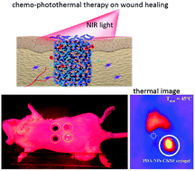 Mussel-inspired cryogels for promoting wound regeneration through ...