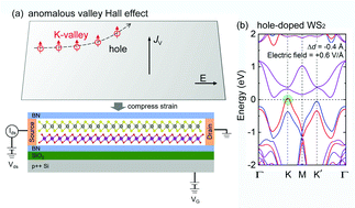 Tunable valley splitting and an anomalous valley Hall effect in hole ...