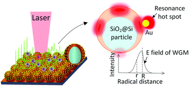 Hybrid nanostructure of SiO2@Si with Au-nanoparticles for surface ...