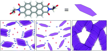Insight into the self-assembly of water-soluble perylene bisimide derivatives through a combined ...