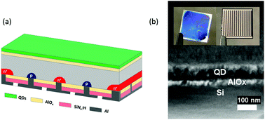 Efficient light harvesting in hybrid quantum dot–interdigitated back ...