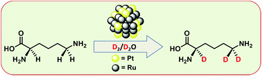 Tuning the catalytic activity and selectivity of water-soluble ...