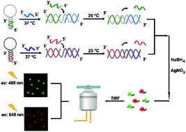 A versatile single-molecule counting-based platform by generation of ...