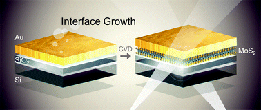 Monolayer MoS2 growth at the Au–SiO2 interface - Nanoscale (RSC Publishing)