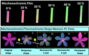 Mechanochromic and thermochromic shape memory photonic crystal films ...
