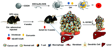 Development of multi-drug loaded PEGylated nanodiamonds to inhibit ...