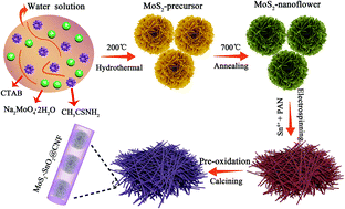 MoS2 nanoflowers encapsulated into carbon nanofibers containing ...
