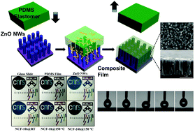 Multifunctional composite films with vertically aligned ZnO nanowires ...
