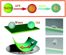 A highly fluorinated SiO2 particle assembled, durable superhydrophobic ...