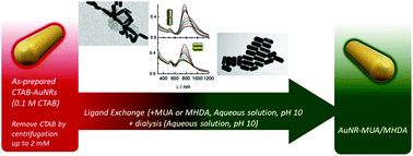 Effective replacement of cetyltrimethylammonium bromide (CTAB) by ...