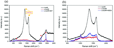 The surface-enhanced Raman scattering detection of N ...