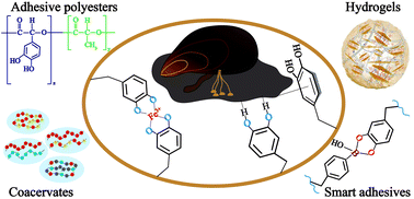 Recent progress in synthesis and application of mussel-inspired ...