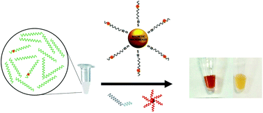 An ultrasensitive colorimetric test for the detection of somatic rare ...