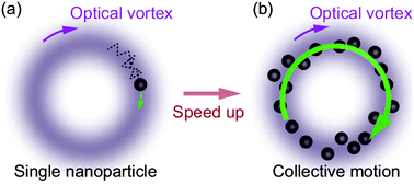 Effect of hydrodynamic inter-particle interaction on the orbital motion ...