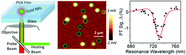 Resonant scattering-enhanced photothermal microscopy - Nanoscale (RSC ...