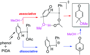 DFT mechanistic investigation into phenol dearomatization mediated by ...