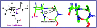 Pyrrolidine ring puckering and prolyl amide bond configurations of 2 ...