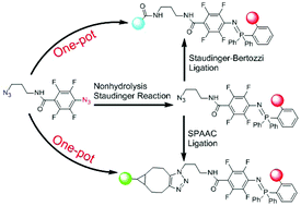 The one-pot nonhydrolysis Staudinger reaction and Staudinger or SPAAC ...