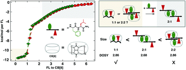 Oligopeptide-CB[8] complexation with switchable binding pathways - Organic & Biomolecular ...