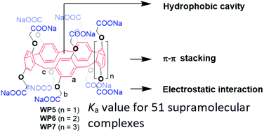 Carboxylated pillar[n]arene (n = 5–7) host molecules: high affinity and selective binding in ...