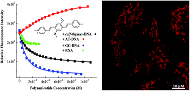 Fine structural tuning of styryl-based dyes for fluorescence and CD ...