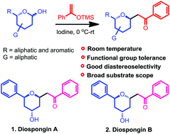 The Mukaiyama type aldol reaction for the synthesis of trans-2,6 ...