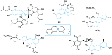 Benzannulated spiroketal natural products: isolation, biological ...