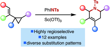 Intermolecular scandium triflate-promoted nitrene-transfer [5 + 1 ...