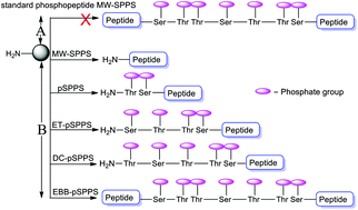 A targeted approach for the synthesis of multi-phosphorylated peptides ...