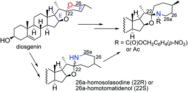 The synthesis of solasodine F-homo-analogues - Organic & Biomolecular ...