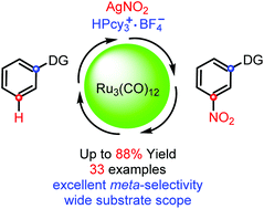 The ruthenium-catalyzed meta-selective C–H nitration of various azole ...