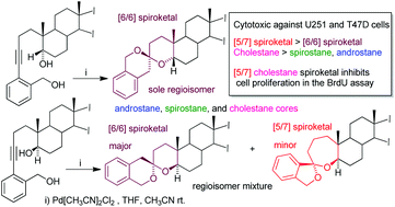 Palladium catalyzed synthesis of benzannulated steroid spiroketals ...
