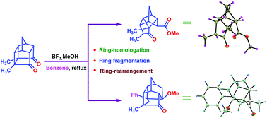 A new skeletal rearrangement of 1,7-dimethyl Cookson's cage dione ...