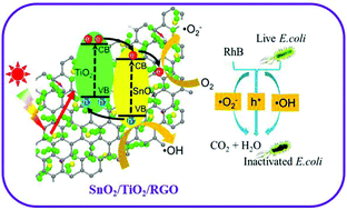 Optimizing the synthesis of SnO2/TiO2/RGO nanocomposites with excellent ...