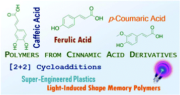 Cinnamic acid derivatives as promising building blocks for advanced ...