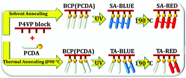 Topochemical polymerization of hierarchically ordered diacetylene ...