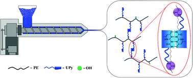 Physically cross-linked polyethylene via reactive extrusion - Polymer ...