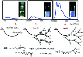 Alicyclic tertiary amine based hyperbranched polymers with excitation ...