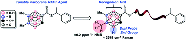 Carborane RAFT agents as tunable and functional molecular probes for ...