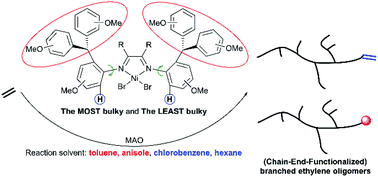 Preparation and in situ chain-end-functionalization of branched ...