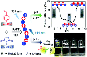 Amino acid-derived alternating polyampholyte luminogens - Polymer ...