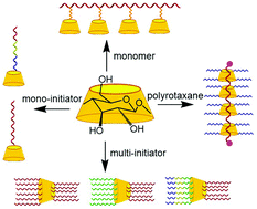 Functional materials generated by allying cyclodextrin-based ...