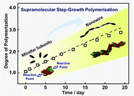 Supramolecular step-growth polymerization kinetics of pre-assembled ...