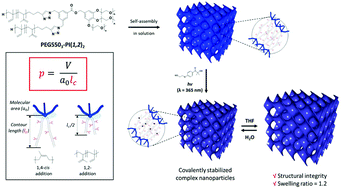 Polymer cubosomes of block copolymers having cross-linkable soft ...
