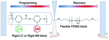 Synthesis and characterization of aromatic-PDMS segmented block copolymers and their shape ...