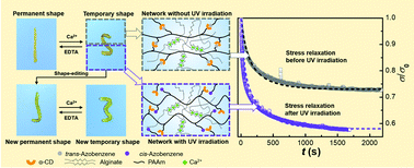 Photo-adaptable shape memory hydrogels based on orthogonal ...